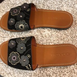 Coach | Shoes | Coach Tea Rose Flat Slip On Rivet Sandal Slides | Poshmark